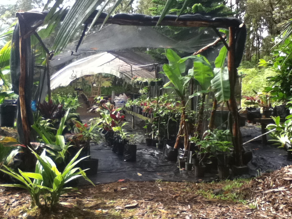 Windrush Farm - LocalHarvest