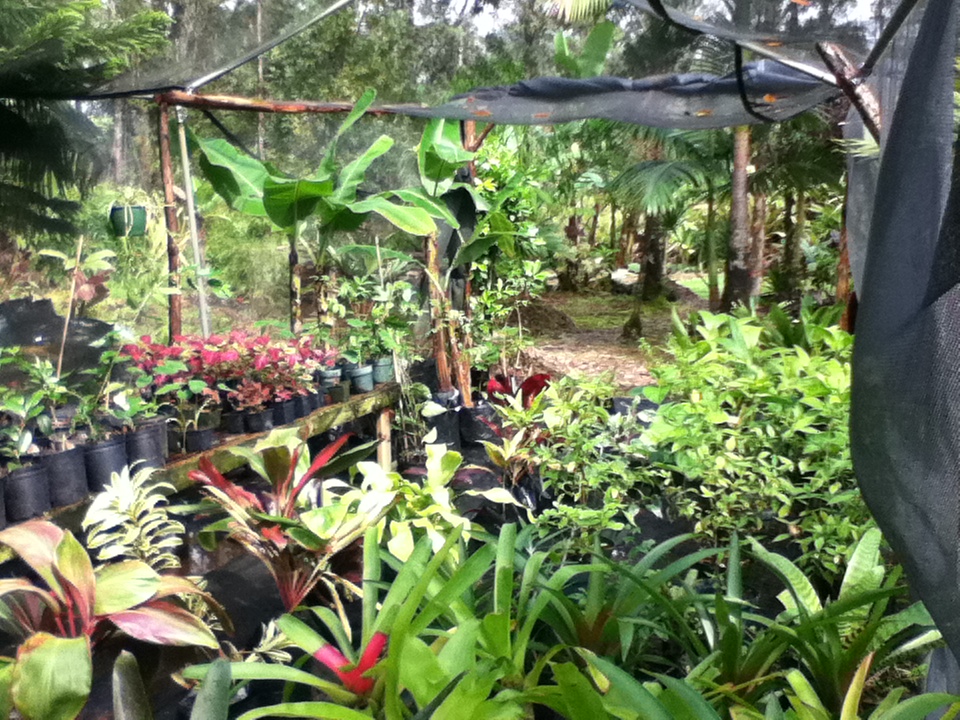 Windrush Farm - LocalHarvest