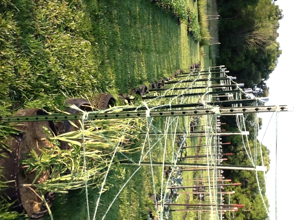 Circle Garden Farm - LocalHarvest